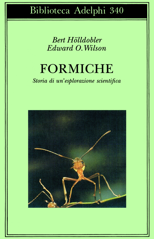 Formiche | Bert Hölldobler, Edward O. Wilson - Adelphi Edizioni