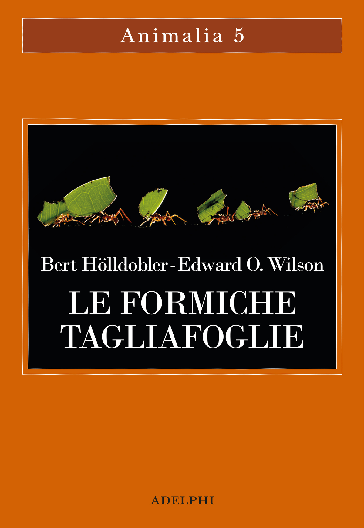 Le formiche tagliafoglie | Bert Hölldobler, Edward O. Wilson - Adelphi ...