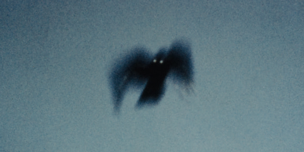 Le formiche tagliafoglie | Bert Hölldobler, Edward O. Wilson - Adelphi ...