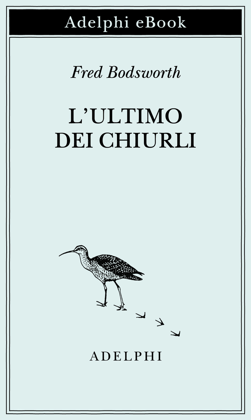 L’ultimo dei chiurli - Fred Bodsworth